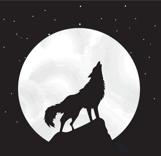 Wolfpak Legacy Financial