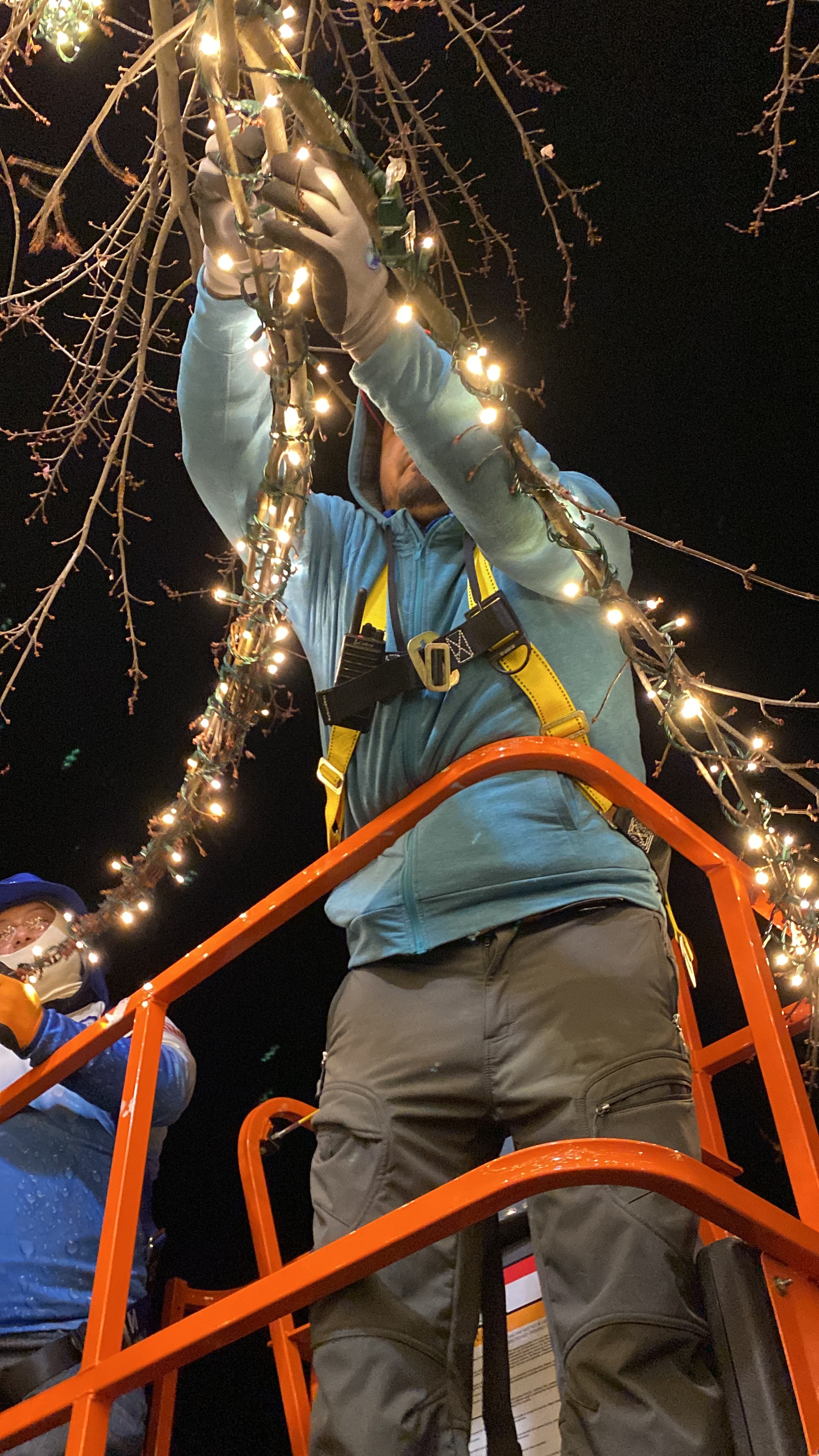 5 Compelling Reasons to Hire a Professional Christmas Lights ...