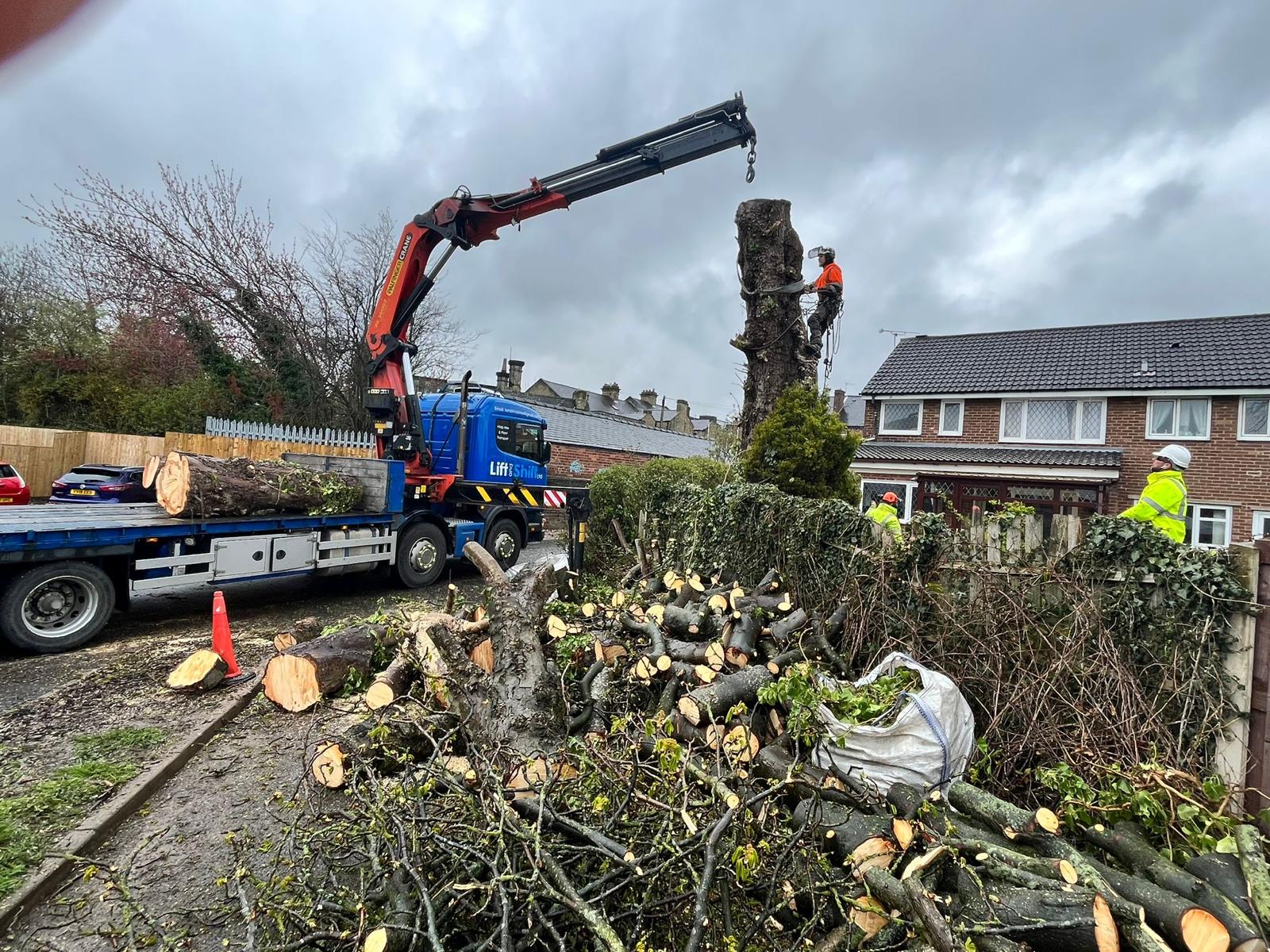 Expert Tree Surgeon Sheffield | Top-Rated Tree Care Services