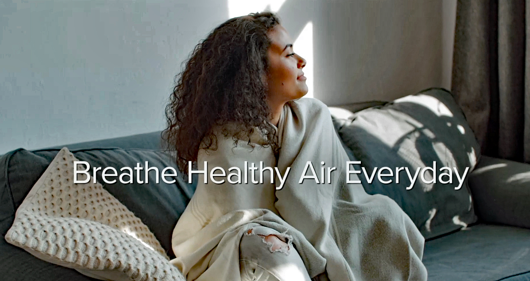 About Advanced Clean Air Solutions - Mold & Air Quality Experts