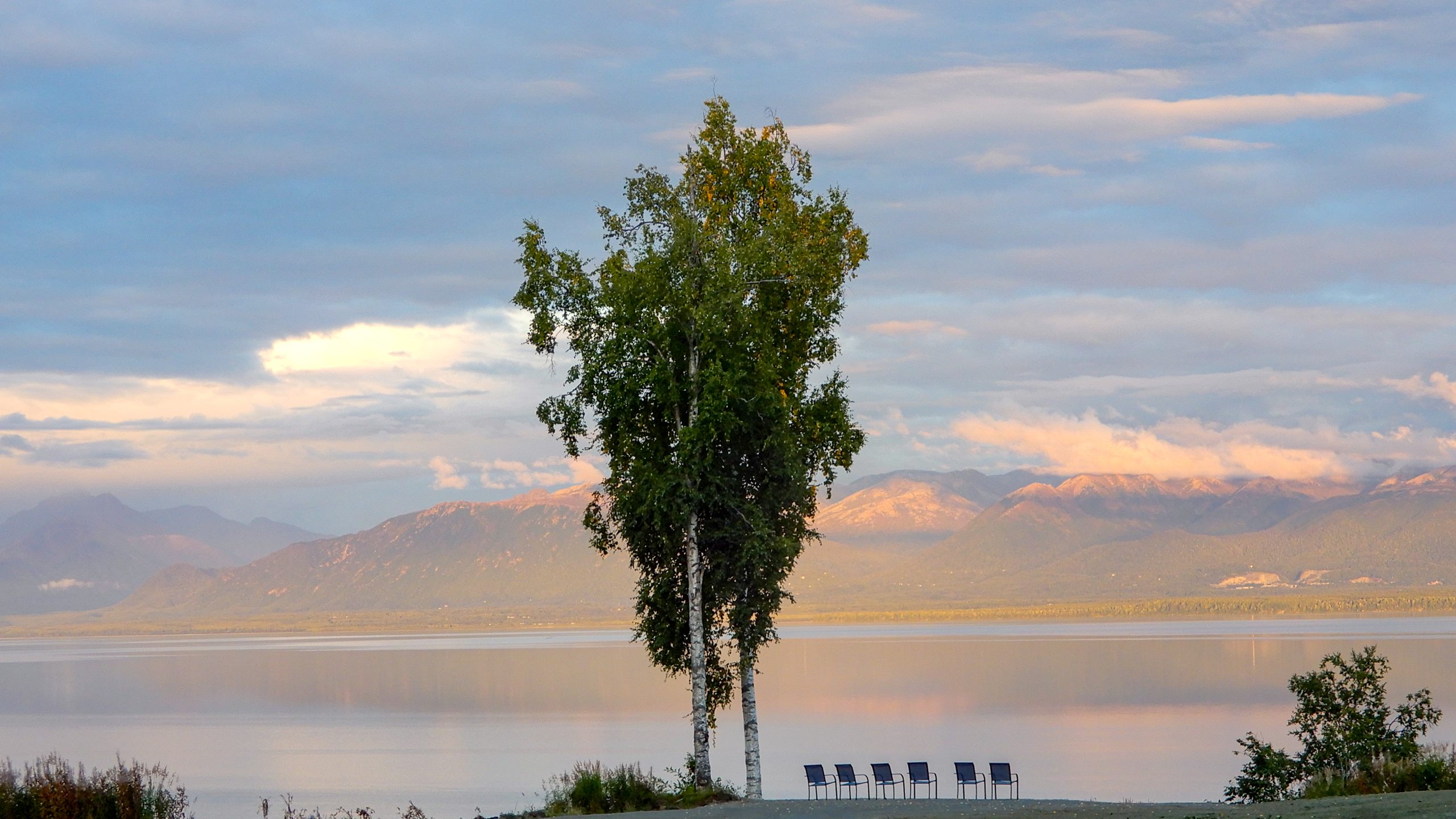 At Two Birch Trees Wedding & Events Venue | Wasilla, Alaska