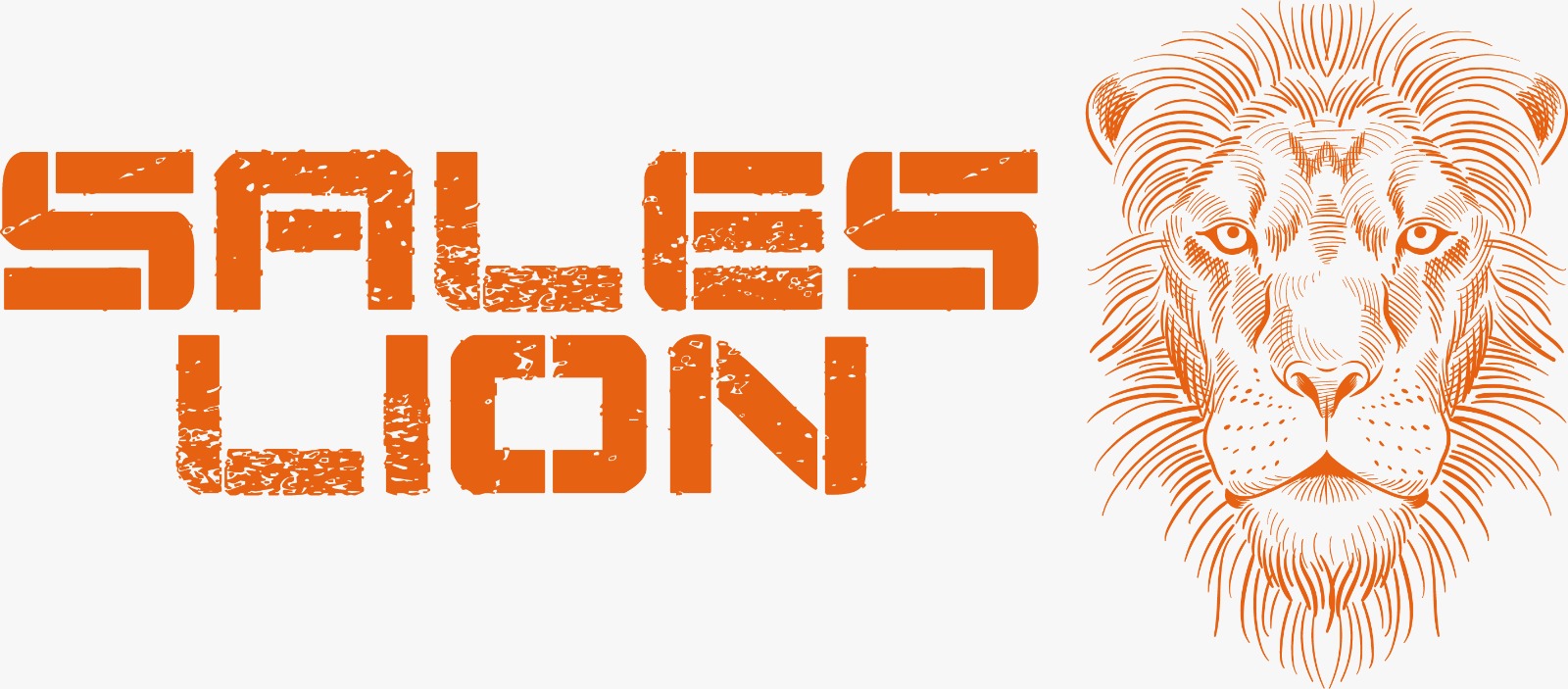 Sales Lion Software