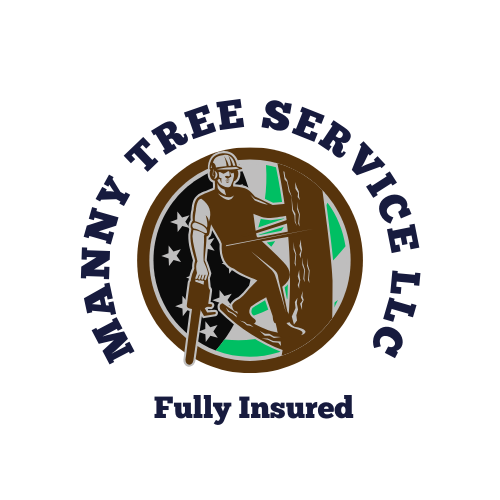 Meet The Tree Expert- Manny Tree Service LLC