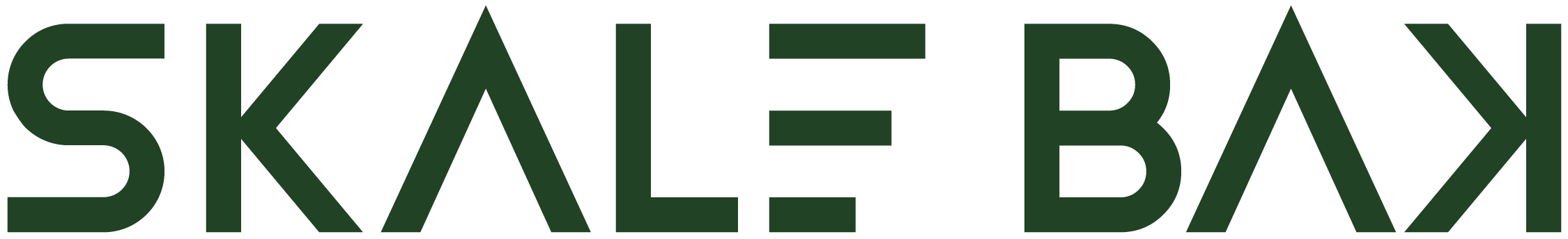 Skale Bak | About Us