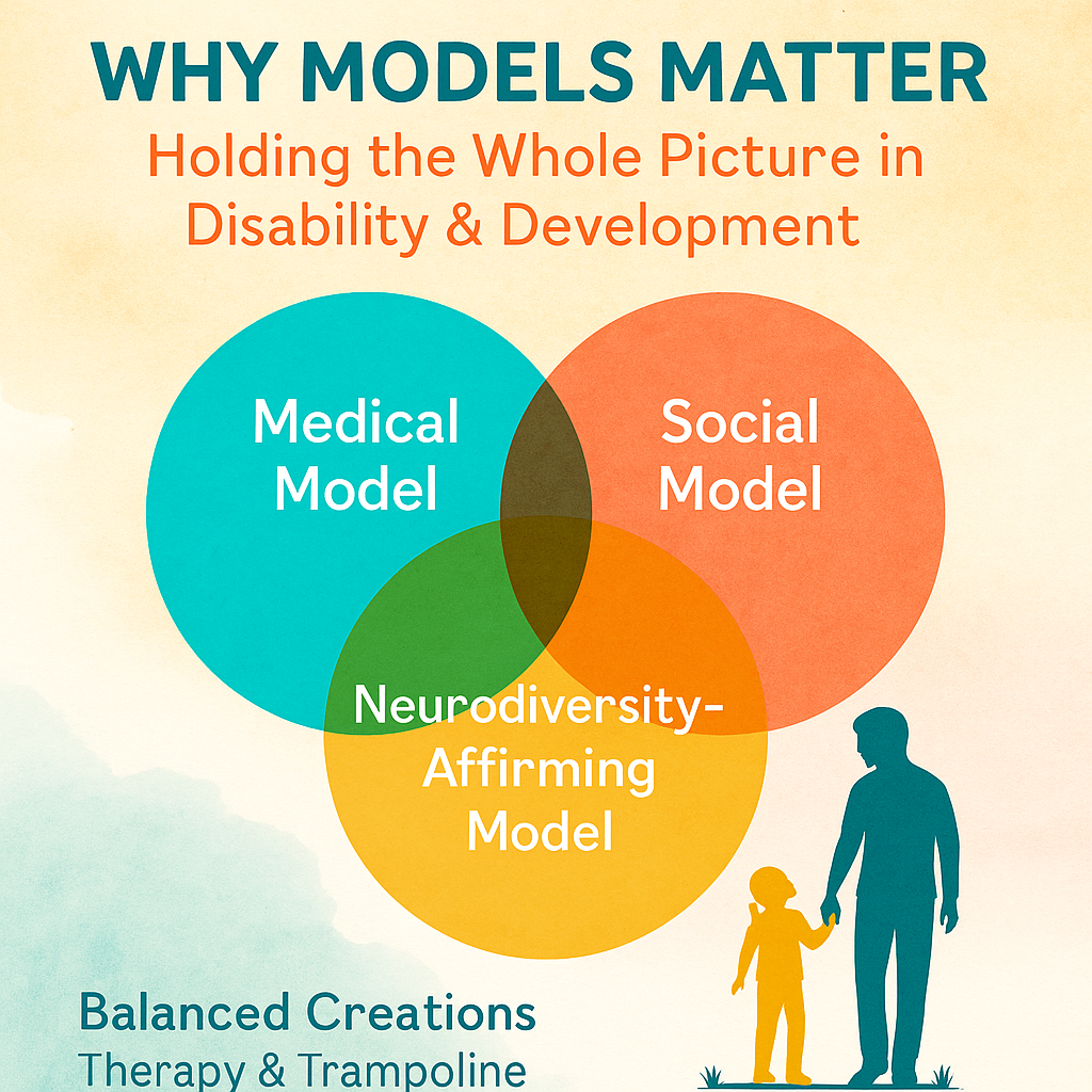 Why Models Matter: Holding the Whole Picture in Disability & Development