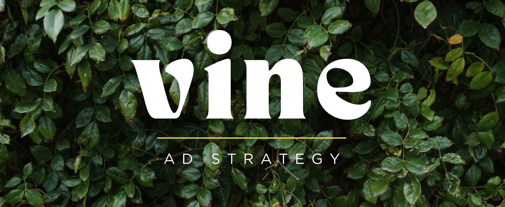 Vine Ad Strategy