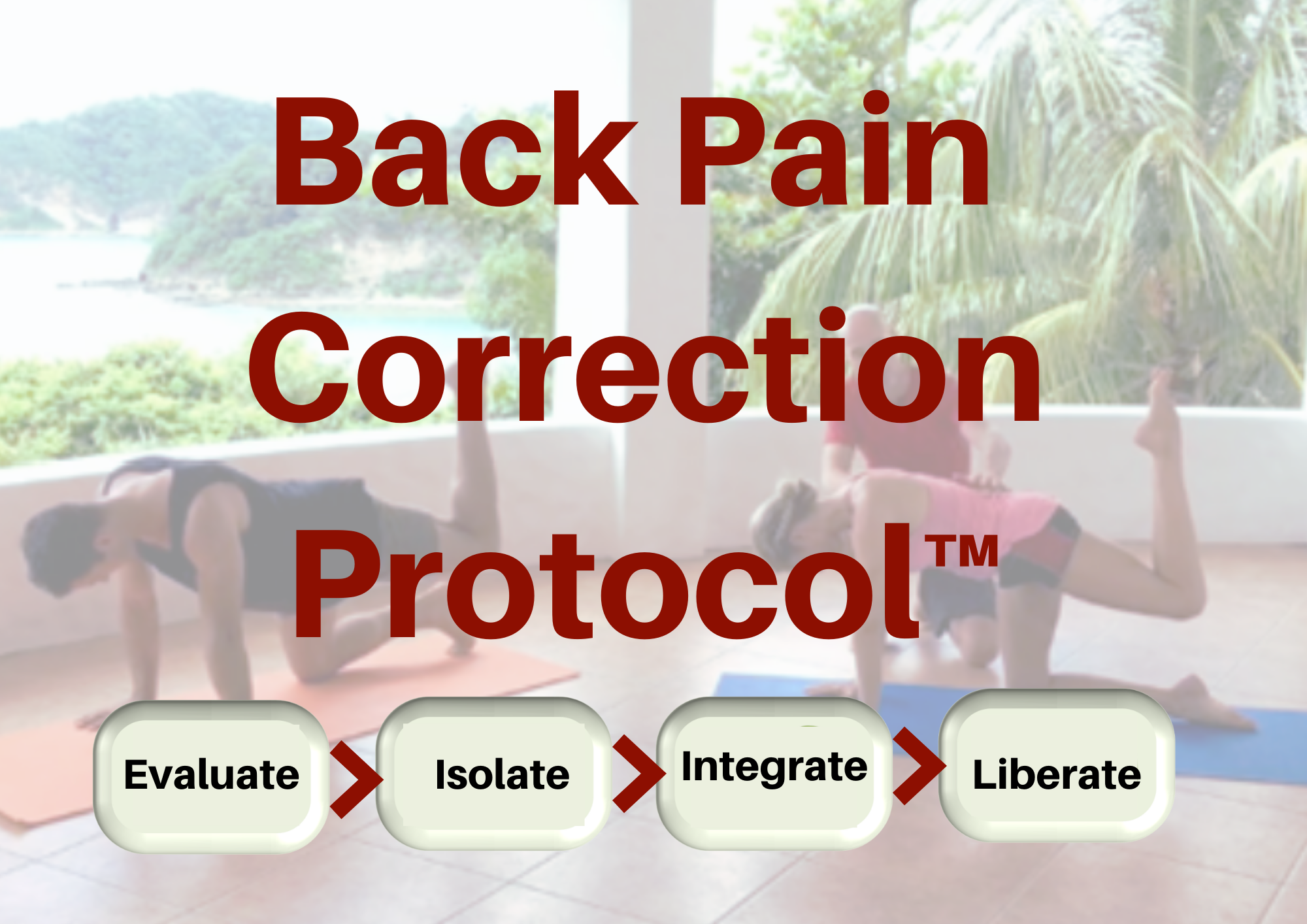 Back Pain Correction Protocol
