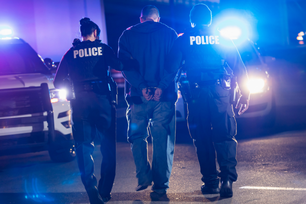 Exploring Florida's Top 10 Most Common Crimes