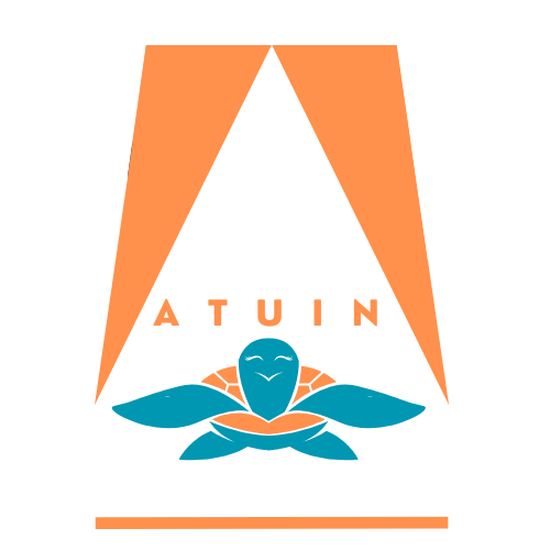 Atuin.Ventures - Portfolio