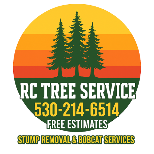 RC Tree Service California | #1 Chico Tree Service