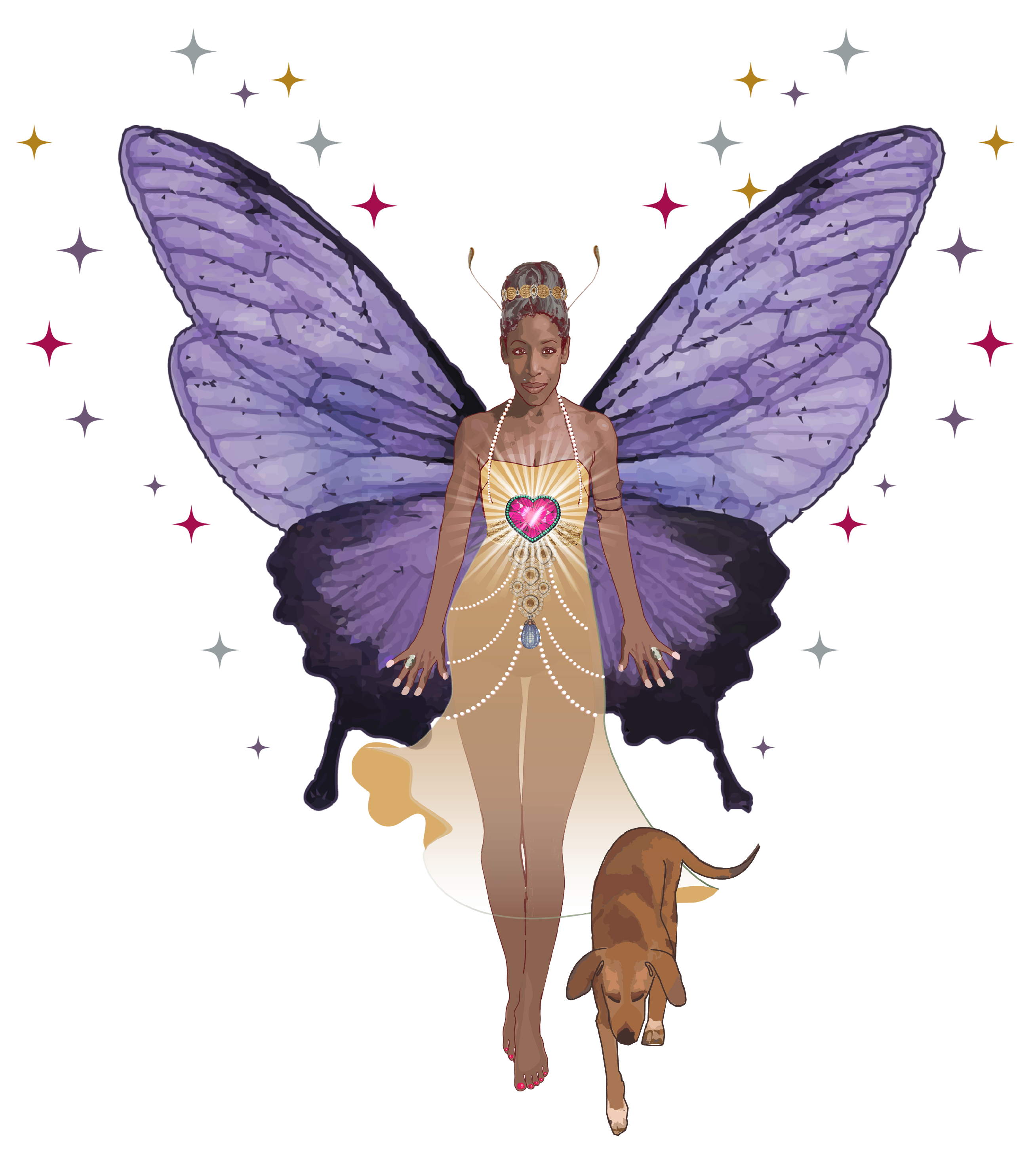 Alchemy Coach School Library