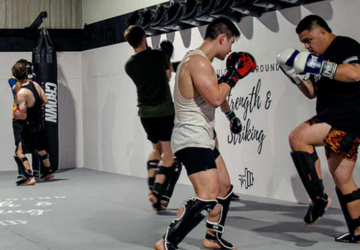 Adult Muay Thai Classes Brisbane | Pulse Combat Academy