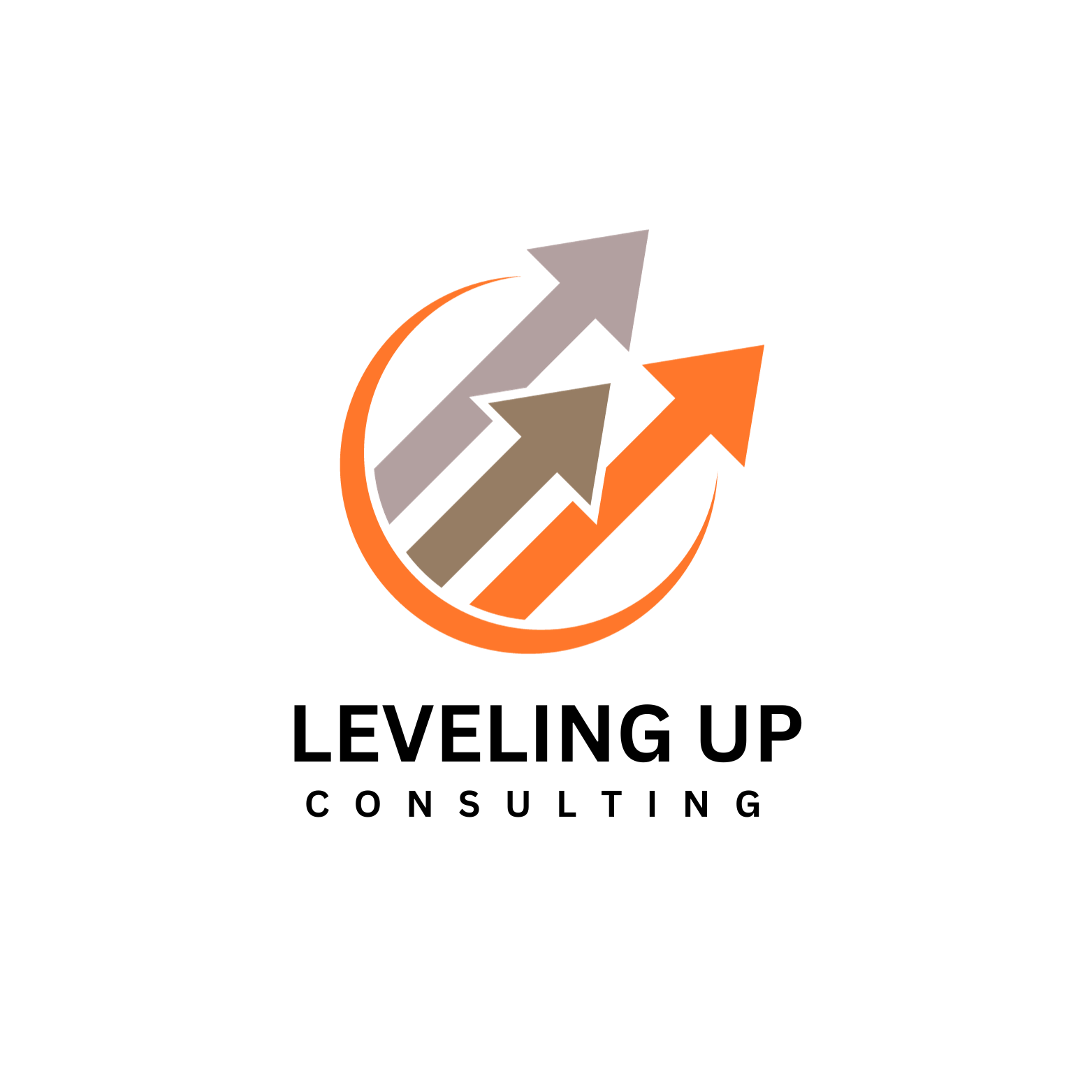 Leveling Up Consulting