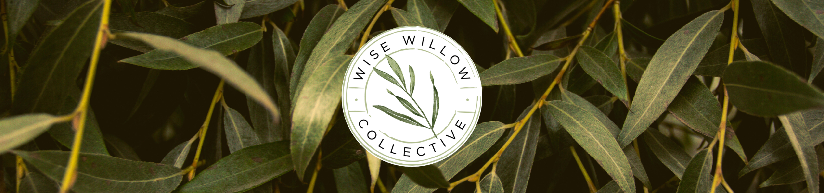 Wise Willow Collective | Coaching, Courses & Publishing for Purposeful Growth