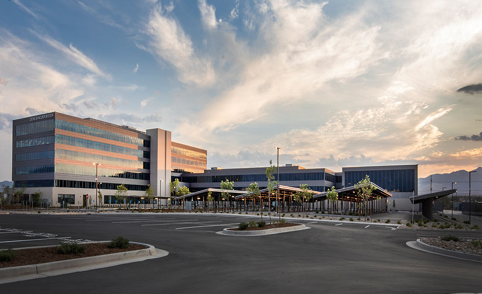 Navigating Human Connection in the World of AI