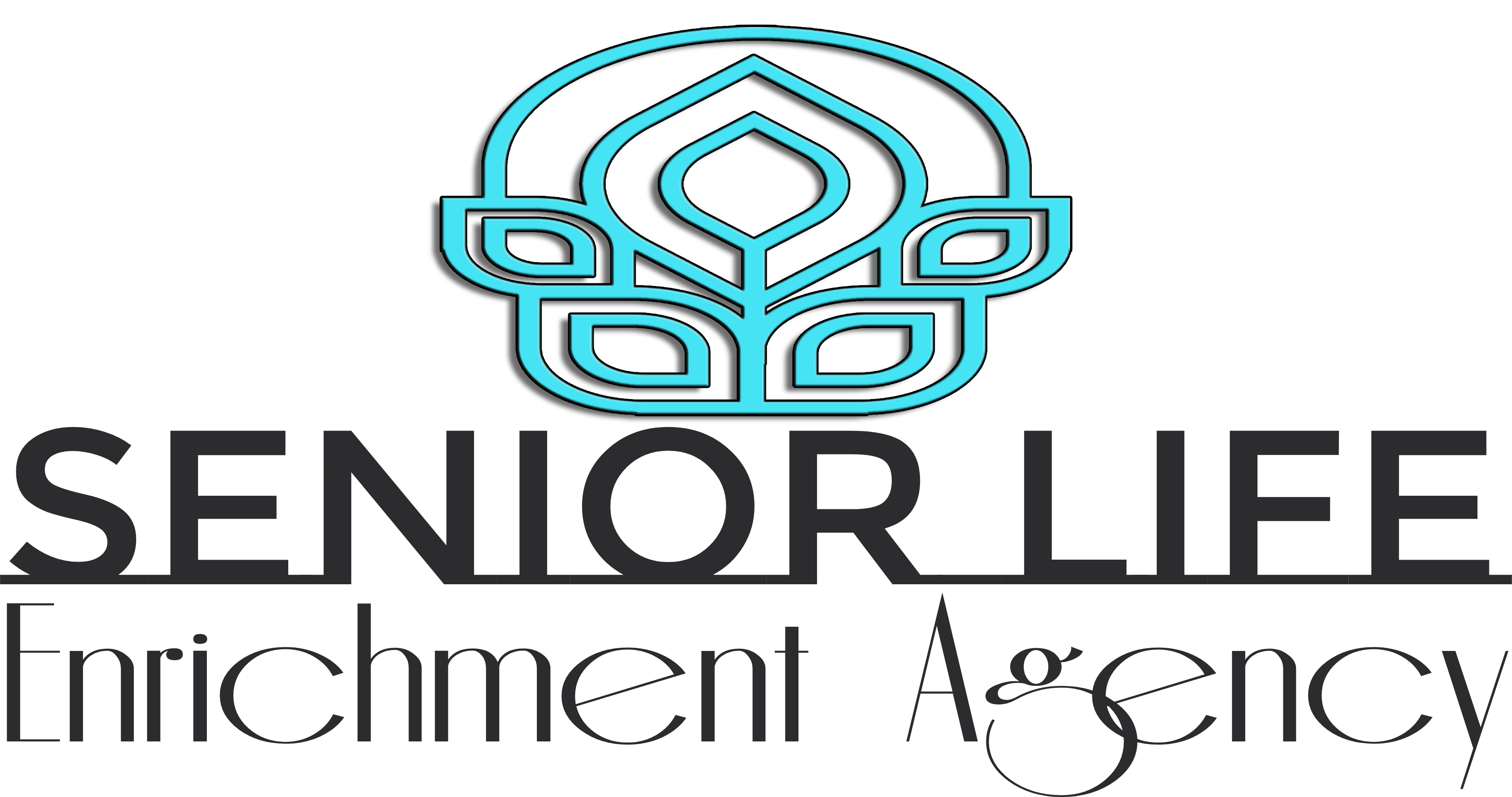 Senior Life Enrichment Agency