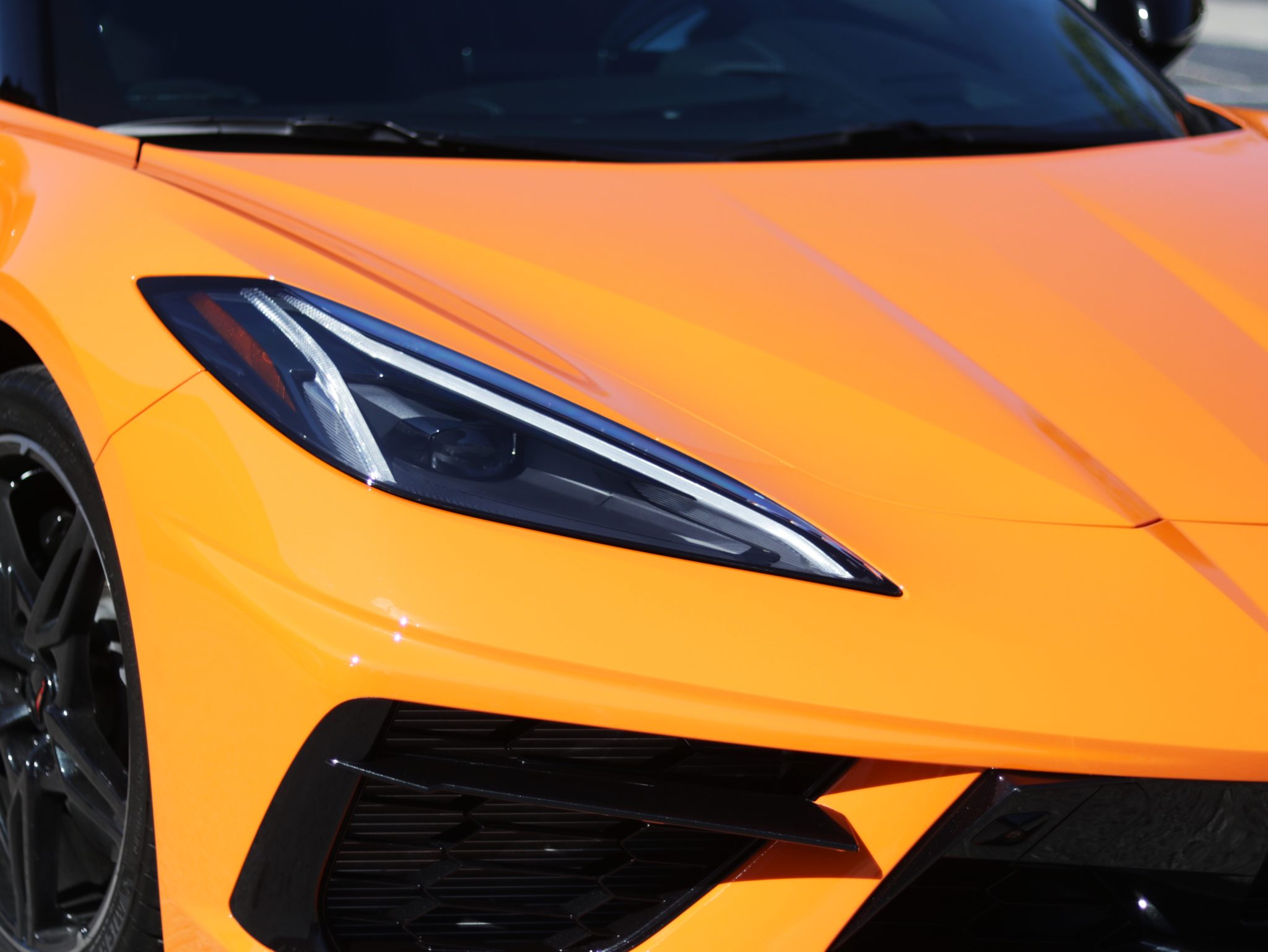 Tampa Bay's Premier Ceramic Coating, Paint Protection Film (PPF ...