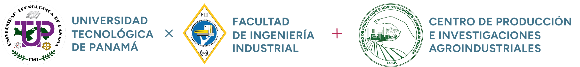 Diplomado en Gestión de Riesgos de Proyectos de Inversión para ...