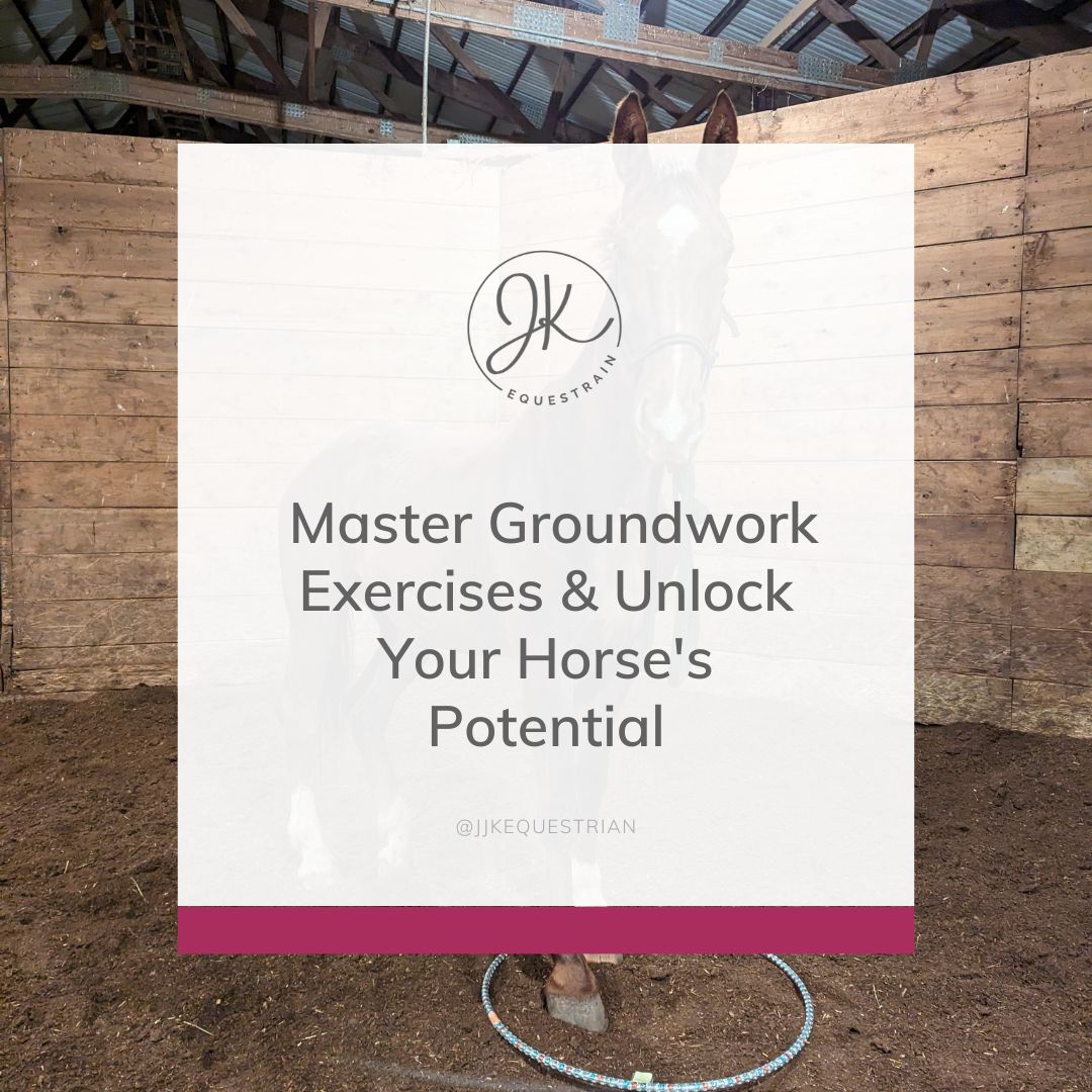 Horse Groundwork The Ultimate Guide: Techniques, Training, and Free ...