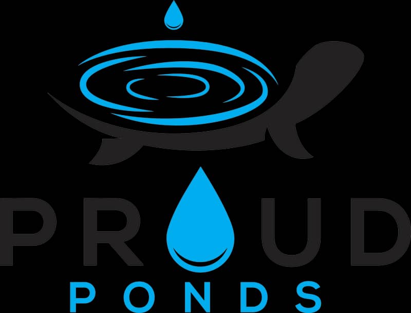 New Water Feature Installation Services | Proud Ponds