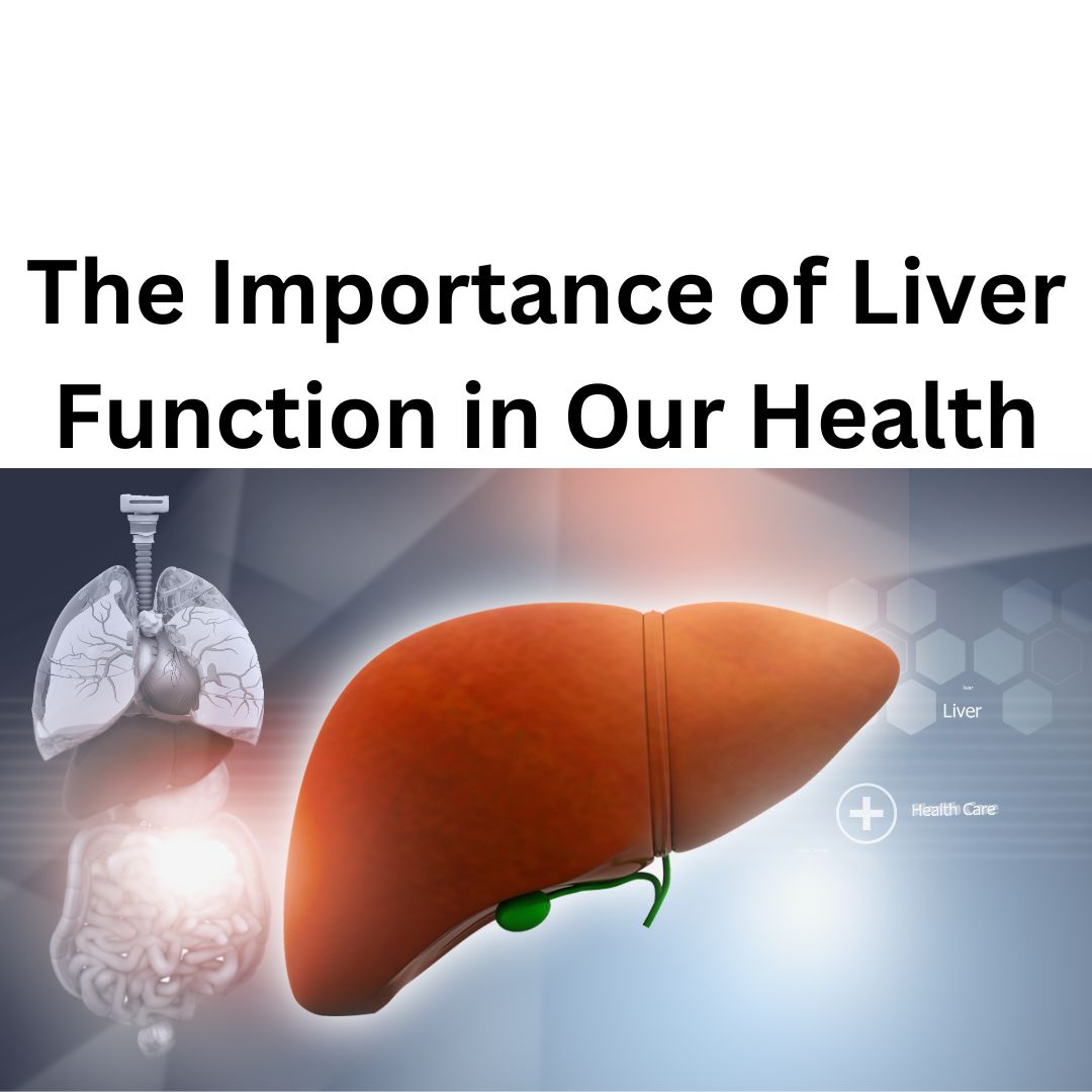 The Importance of Liver Function in Hormone Balance, Metabolism, and ...