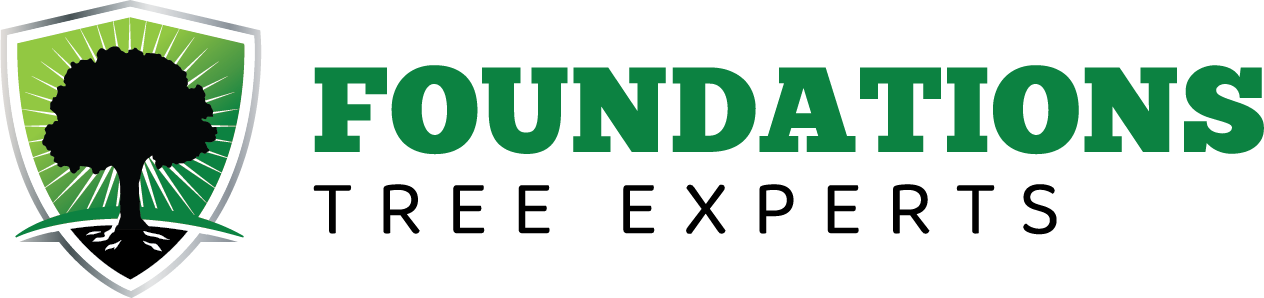 Tree Services Ann Arbor, MI | Foundations Tree Experts