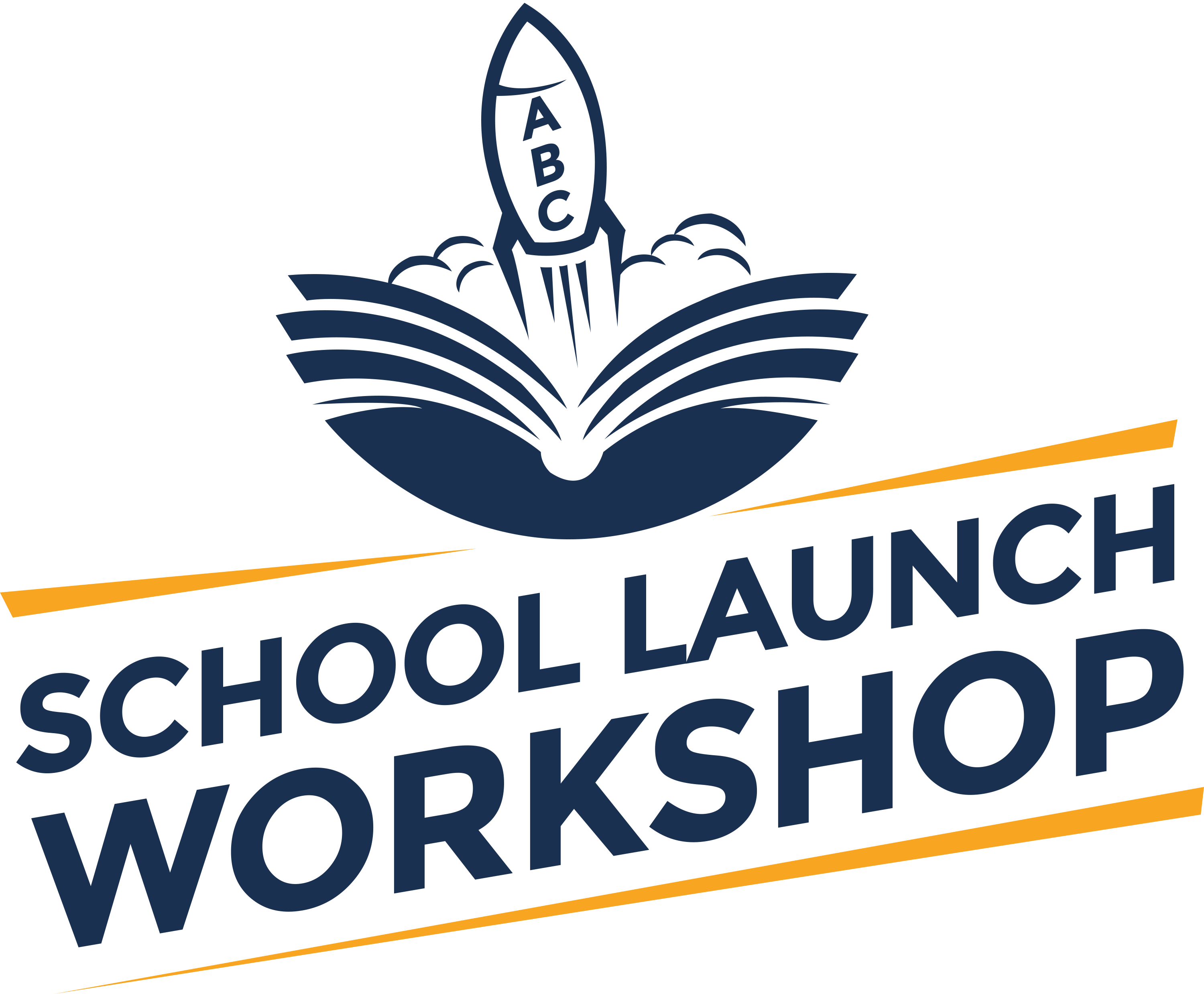 SCHOOL LAUNCH WORKSHOP