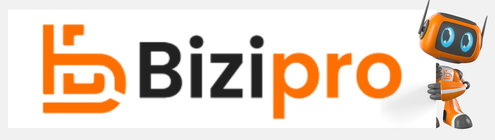 Homepage | Bizipro