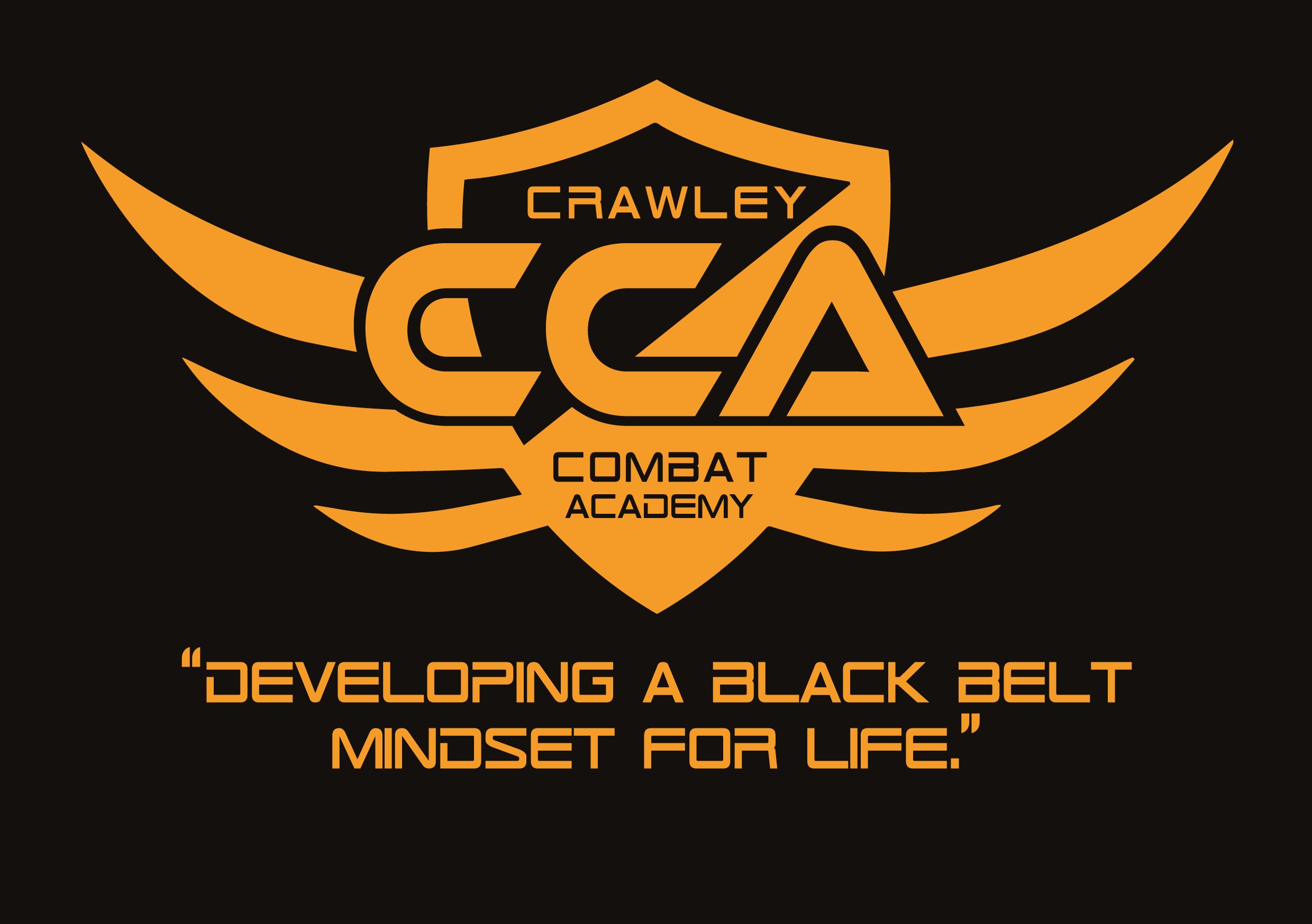 Crawley Combat Academy