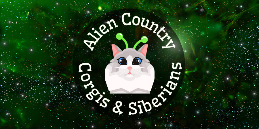 Alien Country Corgis & Siberians - Portal
