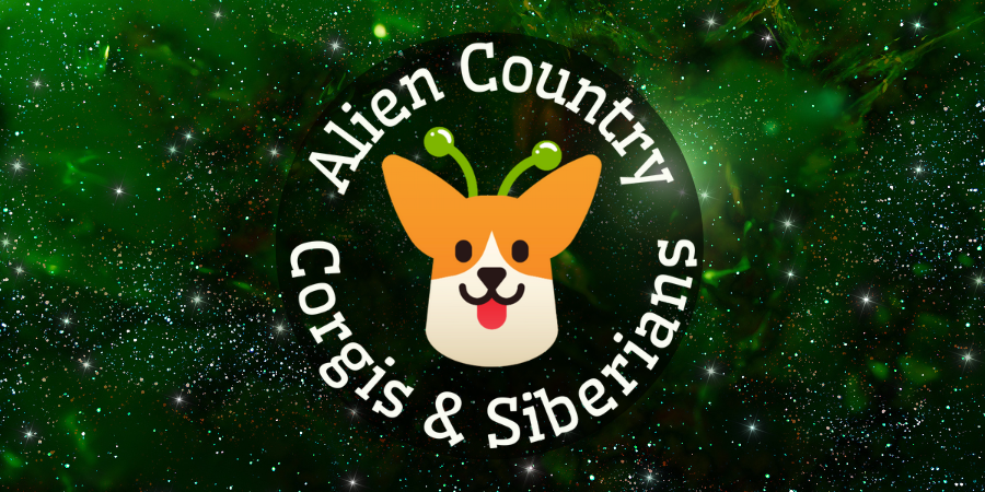 Alien Country Corgis & Siberians - Events