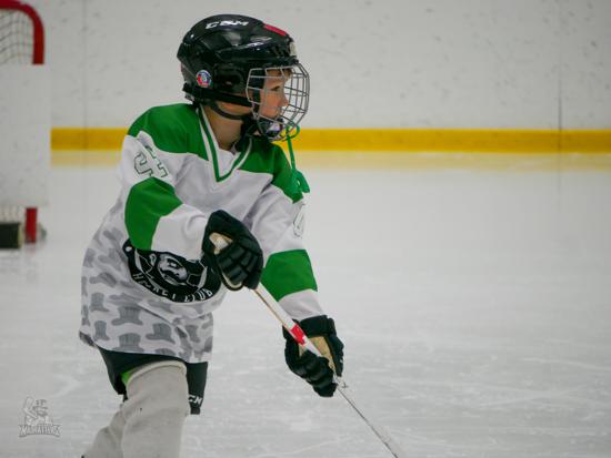 Youth Spring Hockey League - Join the Fun at East Alton Ice Arena!