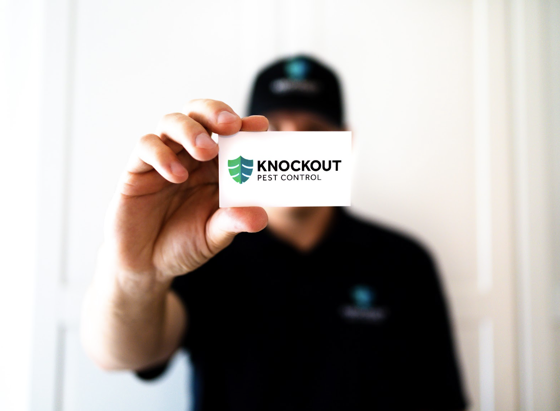 Commercial Pest Control in Burnaby | Knockout Pest Control