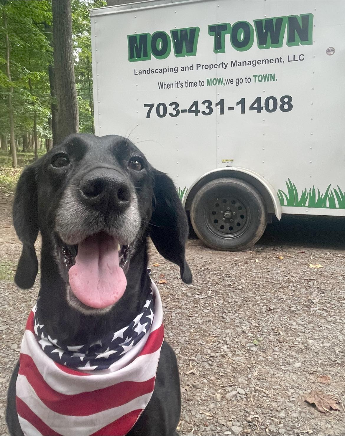Mow Town Landscaping and Property Management