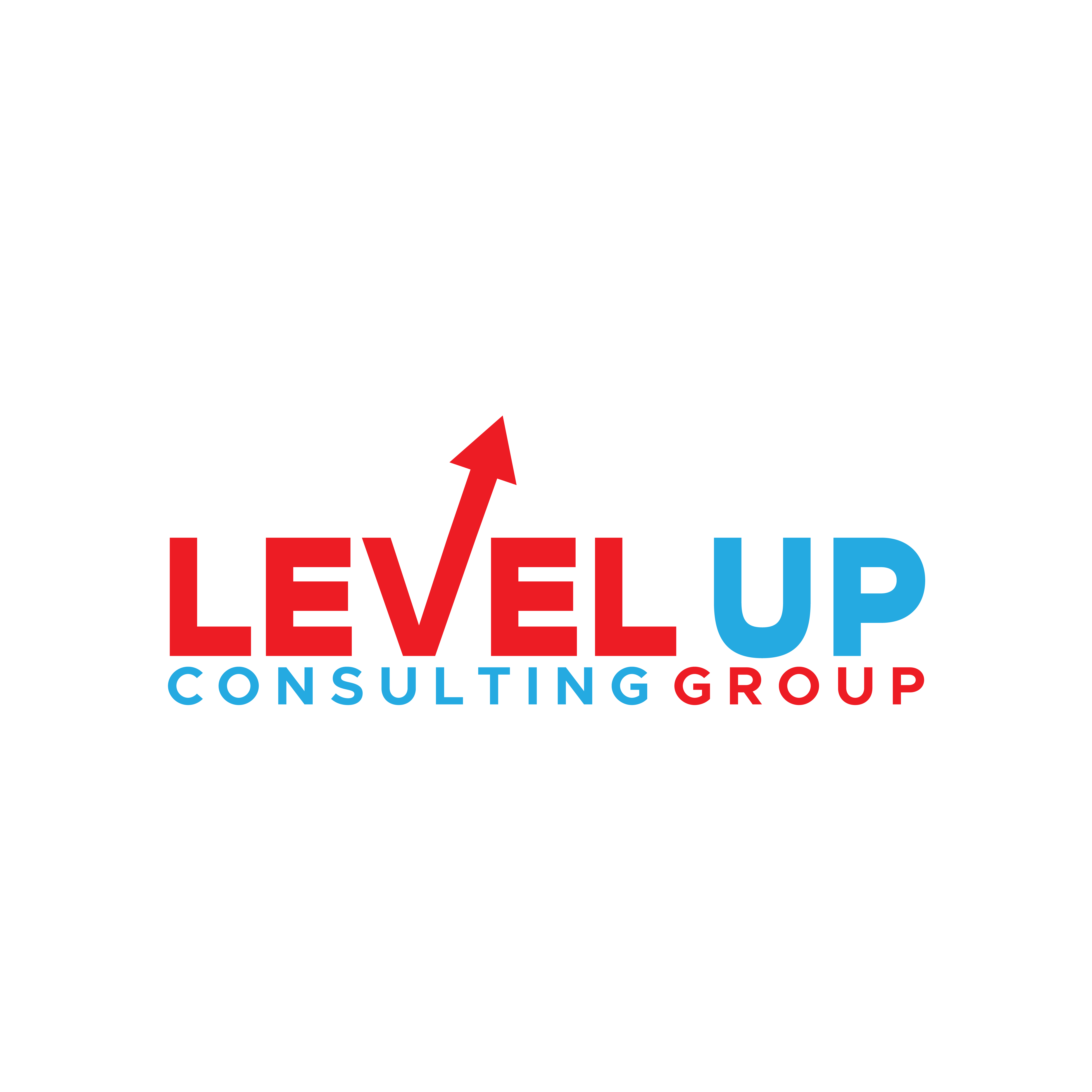 Level Up Consulting Group