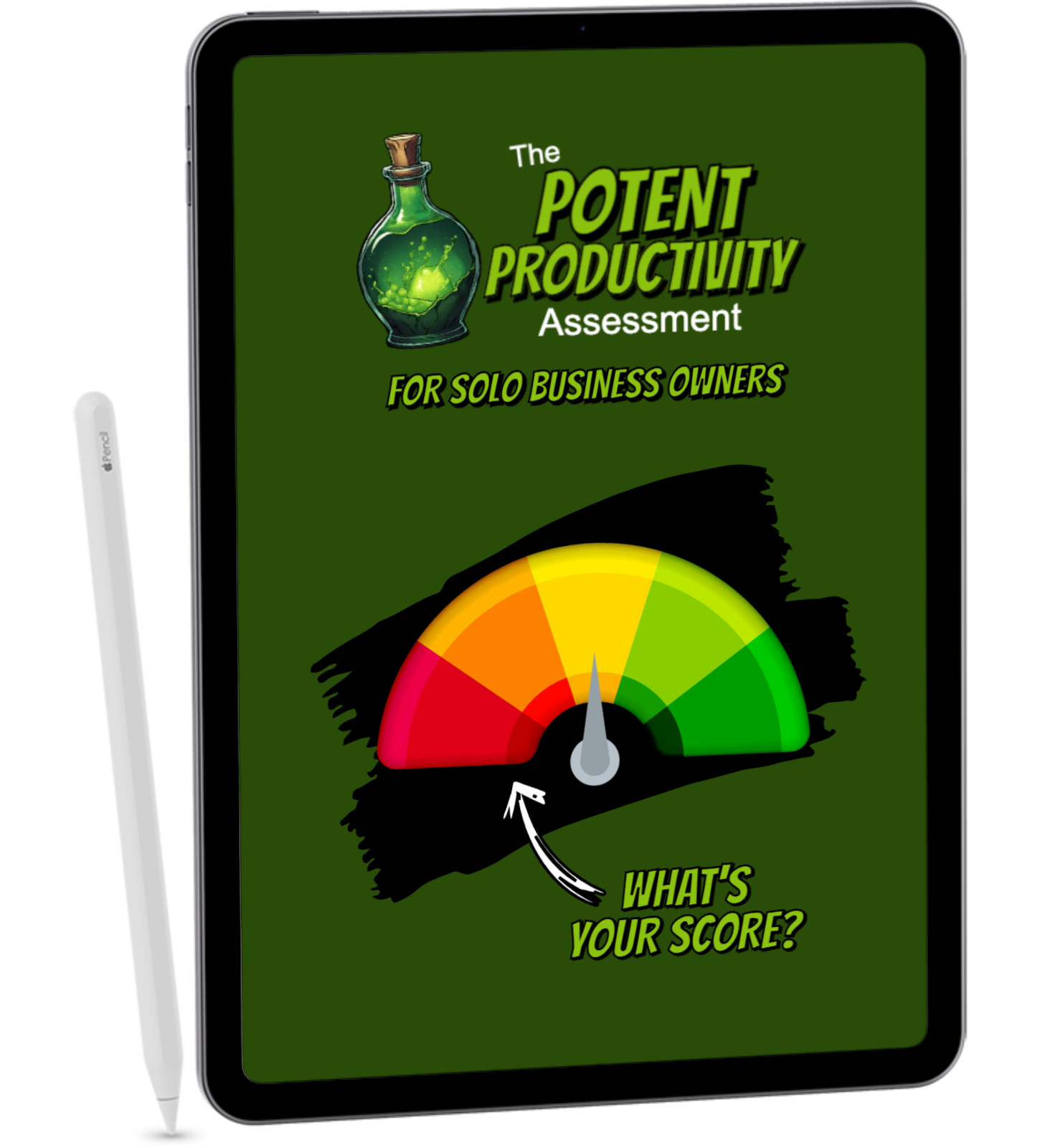 Potent Productivity Assessment for Experts and Aspiring Leaders