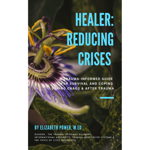 Elizabeth Power Books