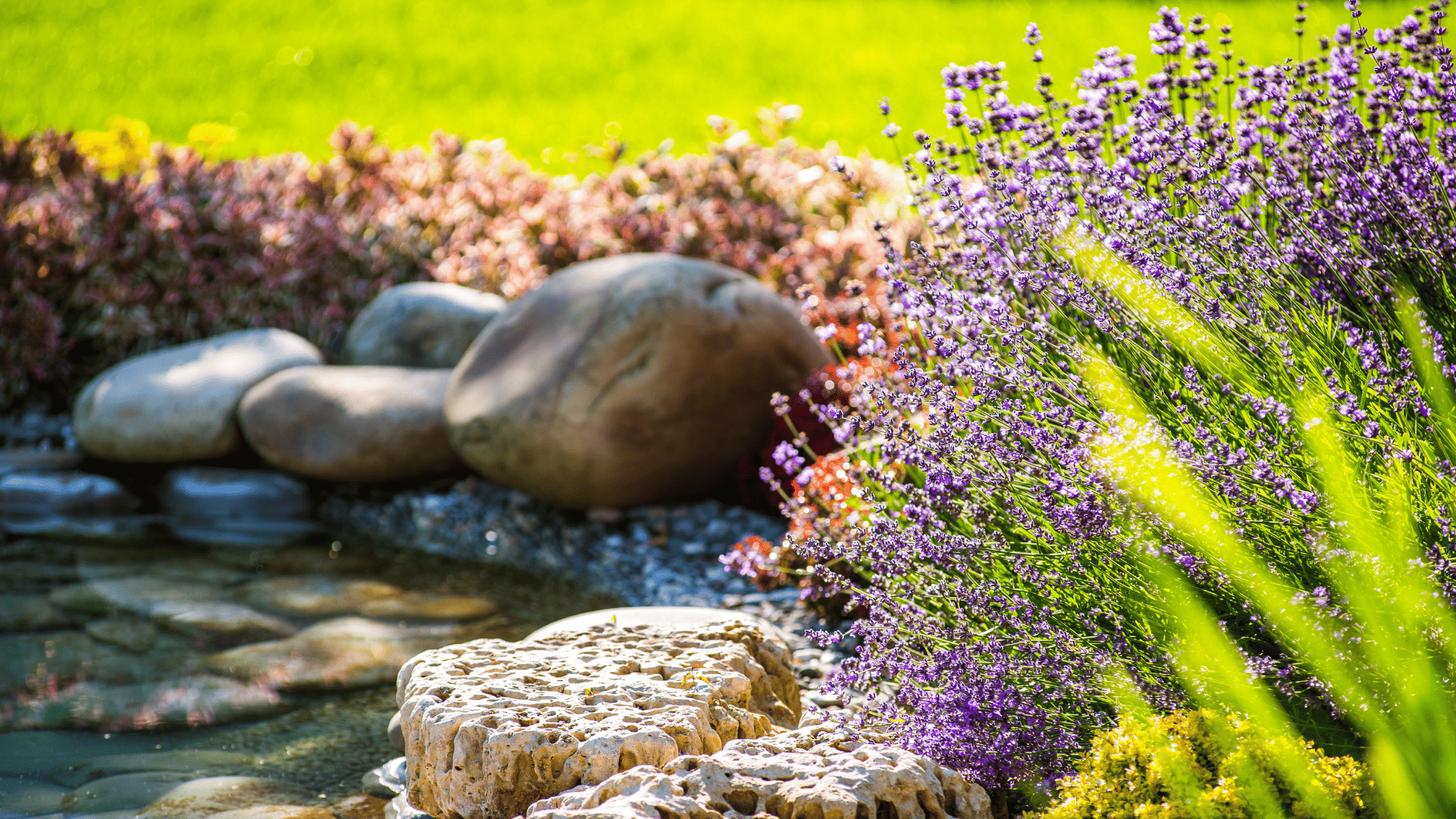 GroundScapes | landscaping in Fort Myers