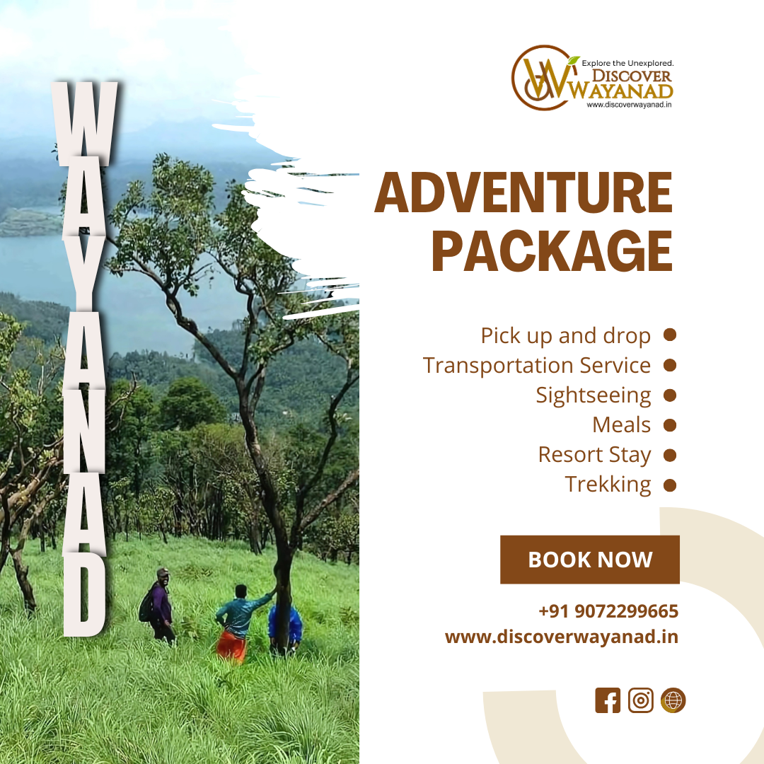Best Wayanad Adventure Tours & Activities | Discover Now