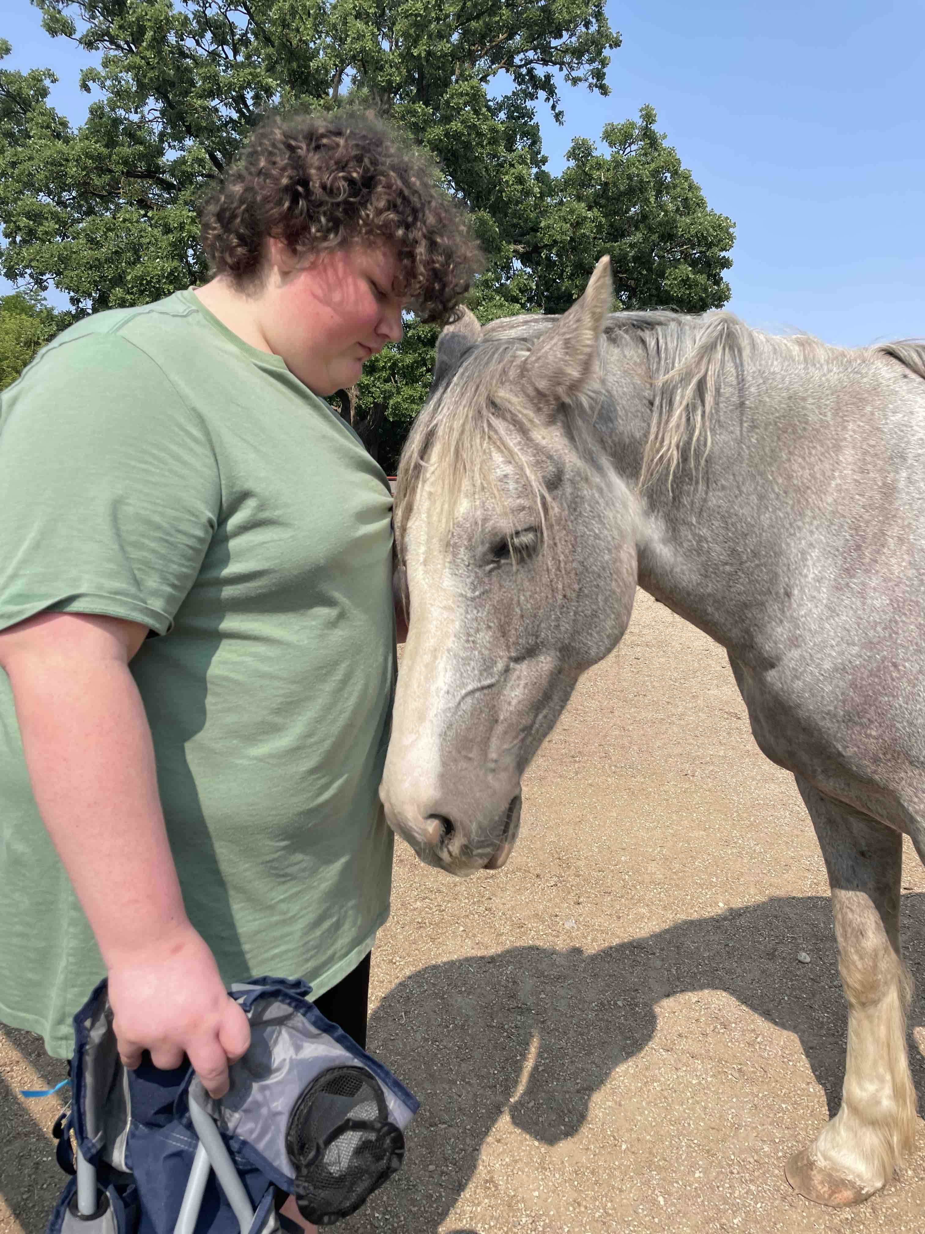 Equine Assisted Learning