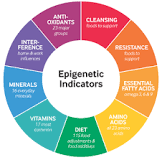 ERTH Total Health Scan (Epigenetic Hair Analysis)