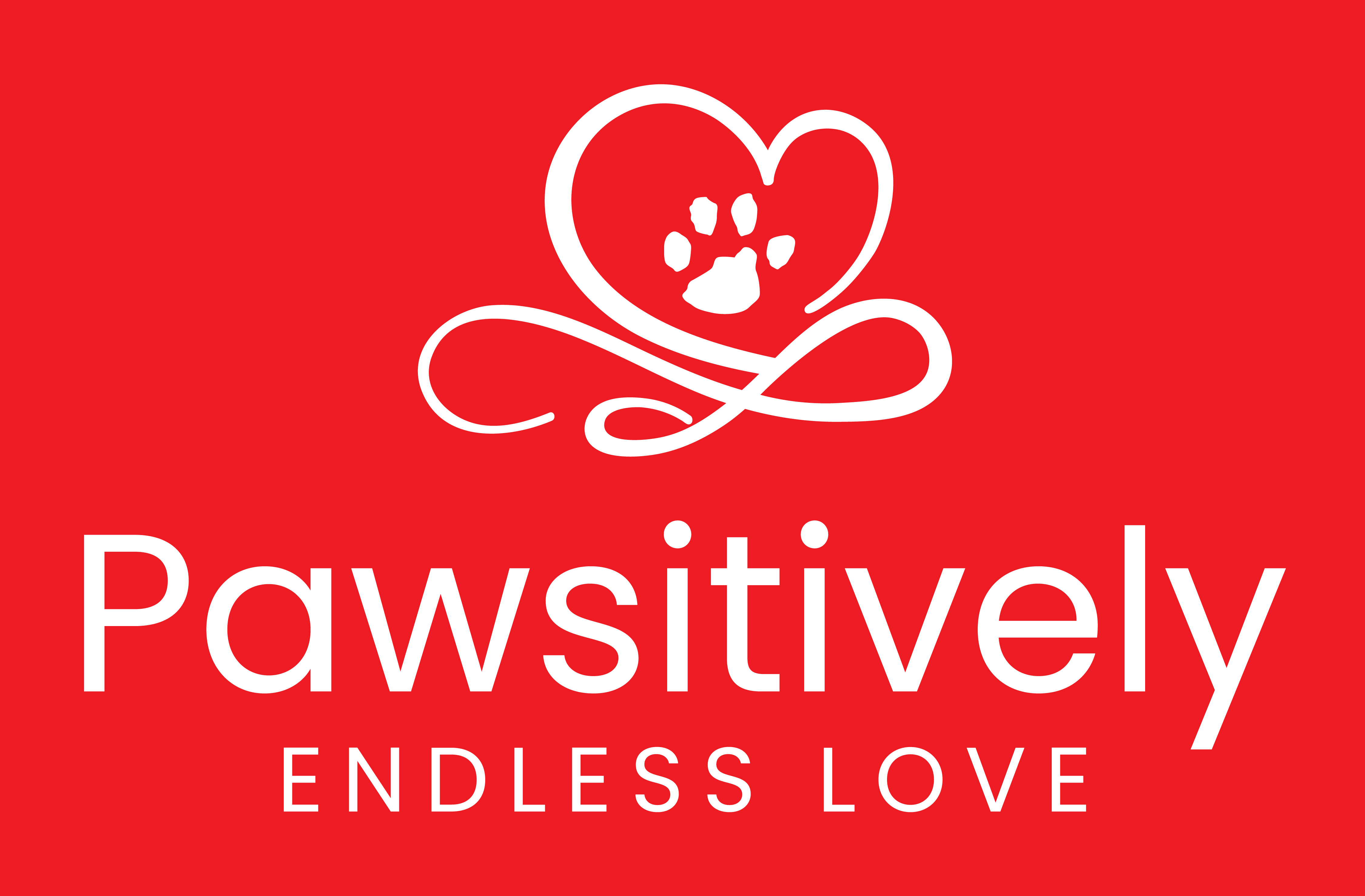 Pawsitively Endless Love Foundation