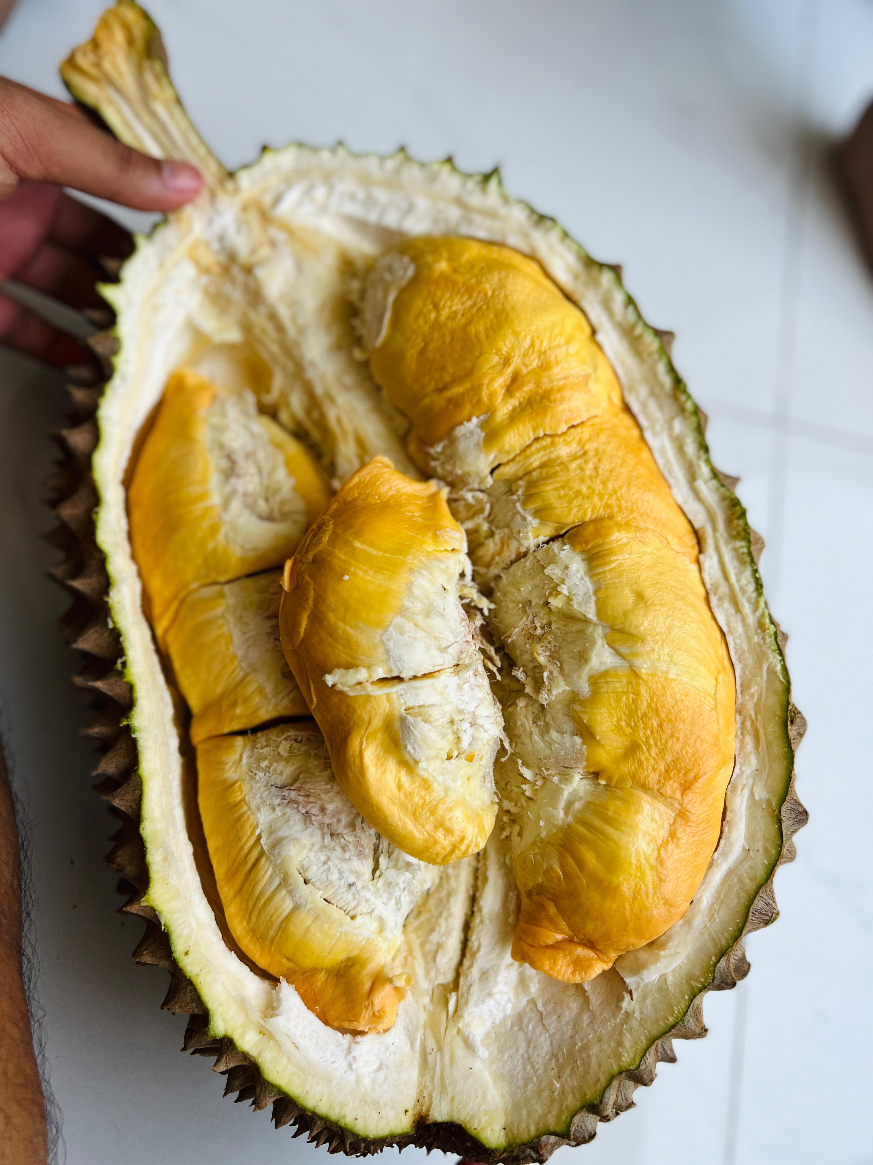 Durian Bawor