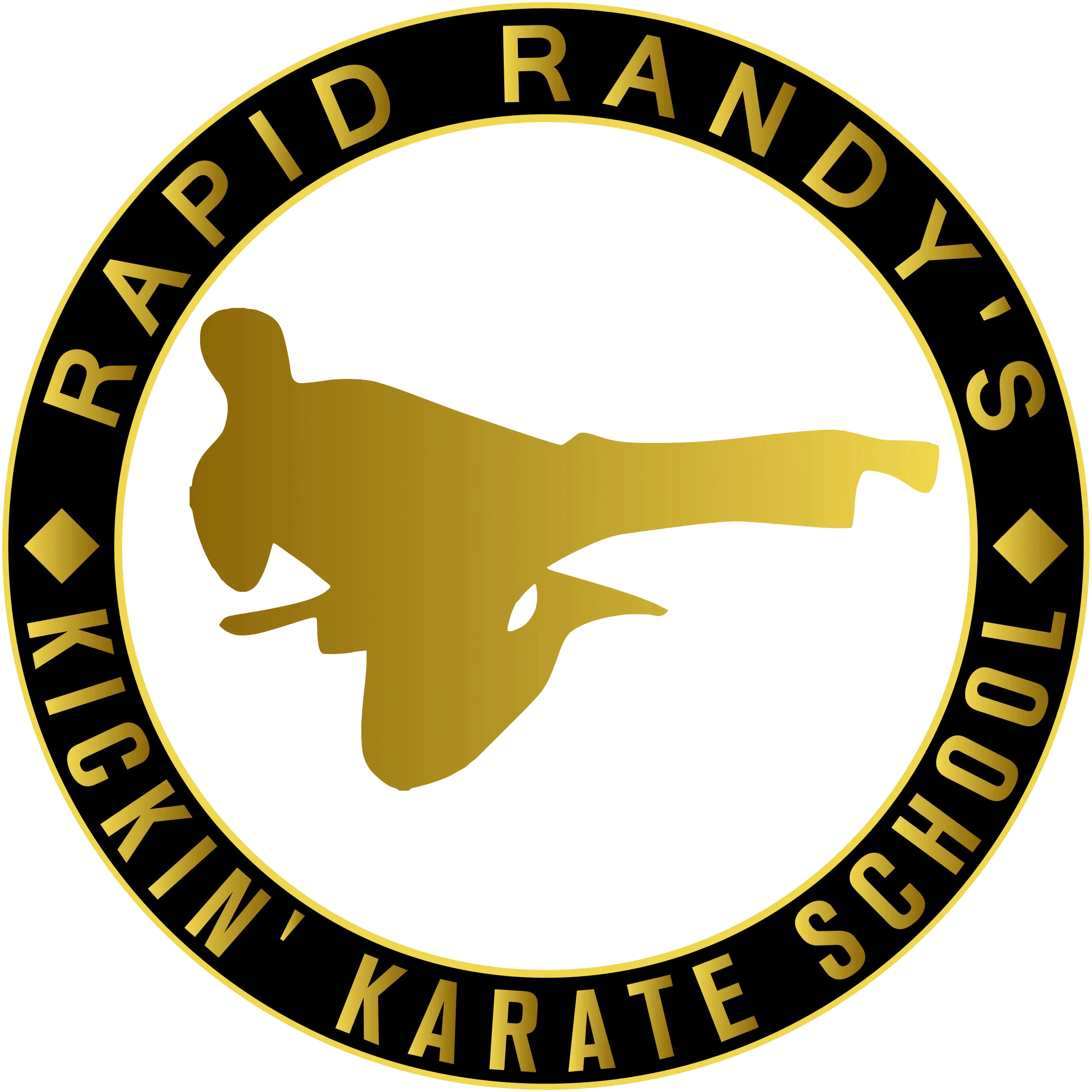 Web Special Offer Kids - Rapid Randy's Kickin Karate School