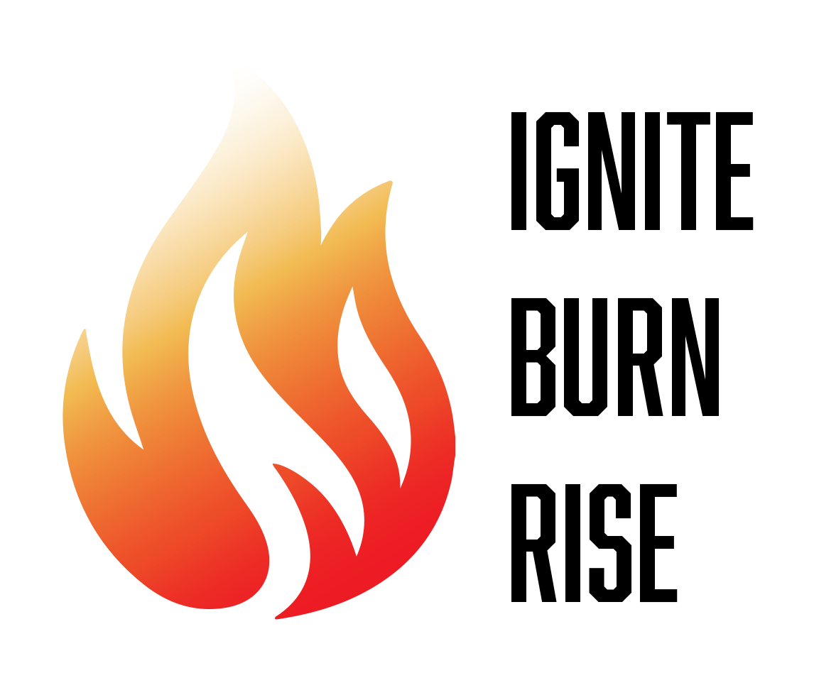 The IGNITE Strategy by The Phoenix Factor