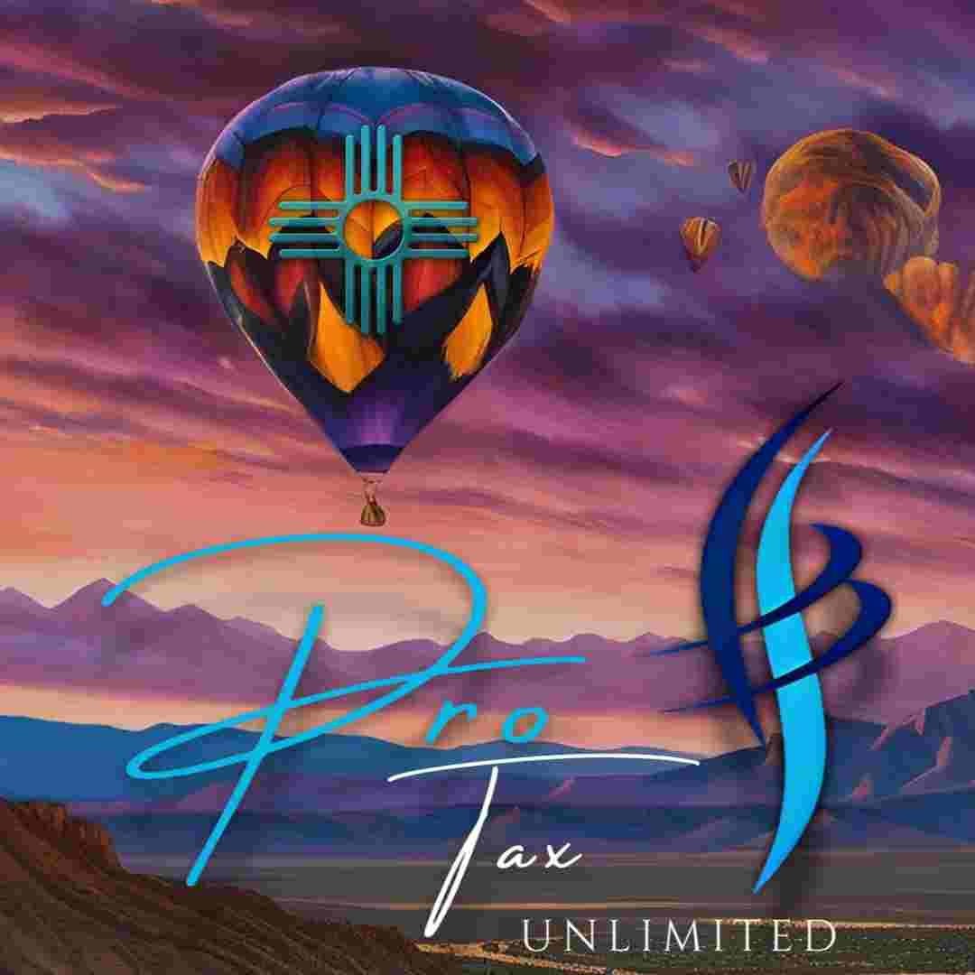 Pro Tax Unlimited LLC