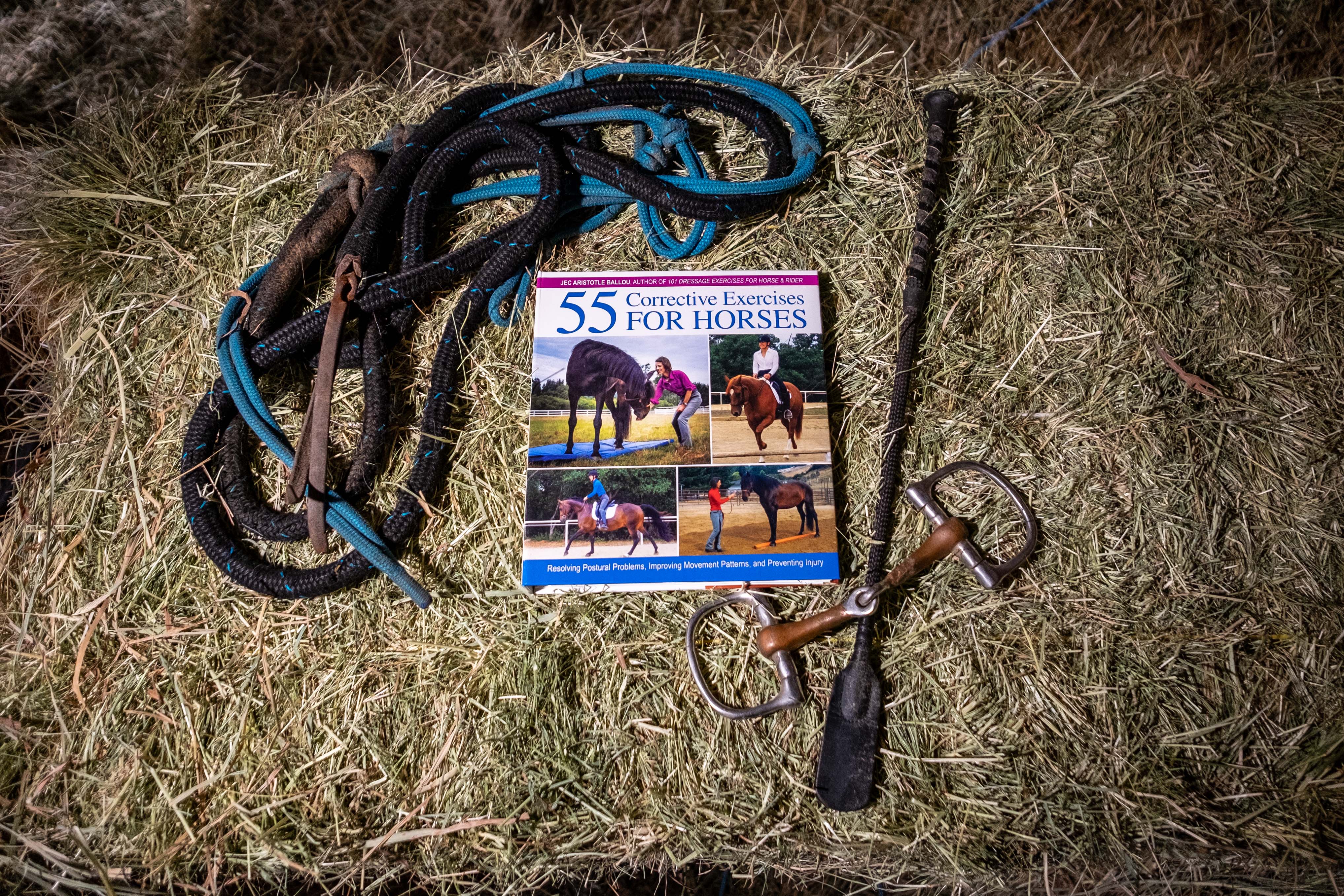 55 Corrective Exercises for Horses - Jec Ballou Equine Fitness