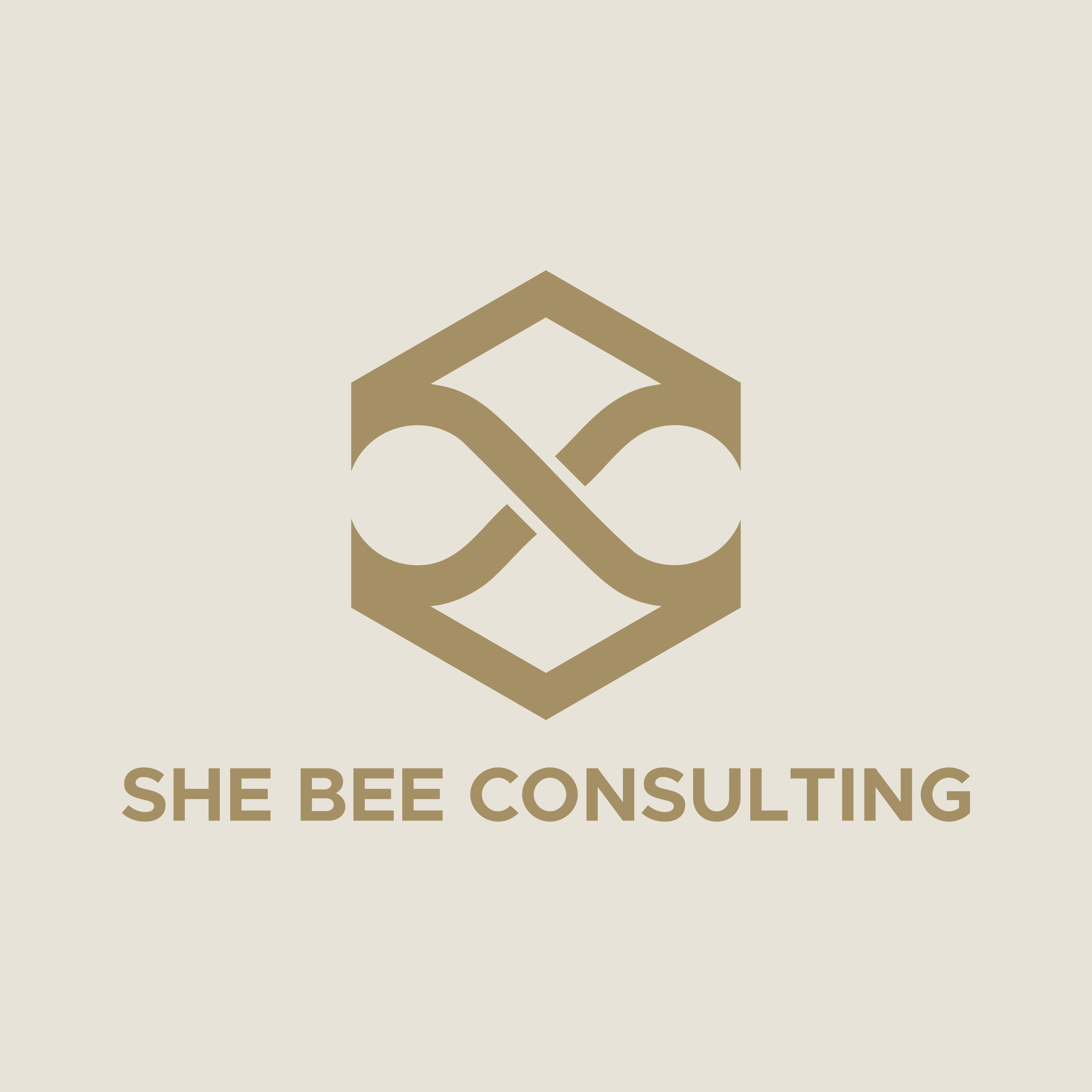 Business System Solutions for Entrepreneurs She Bee Consulting Bendigo