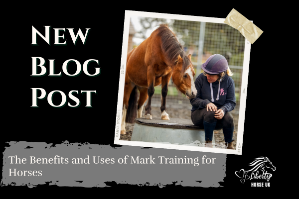 The Benefits and Uses of Mark Training for Horses
