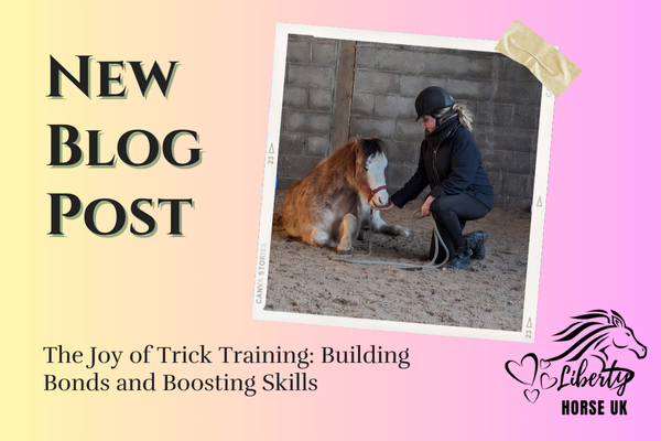 The Joy of Trick Training: Building Bonds and Boosting Skills
